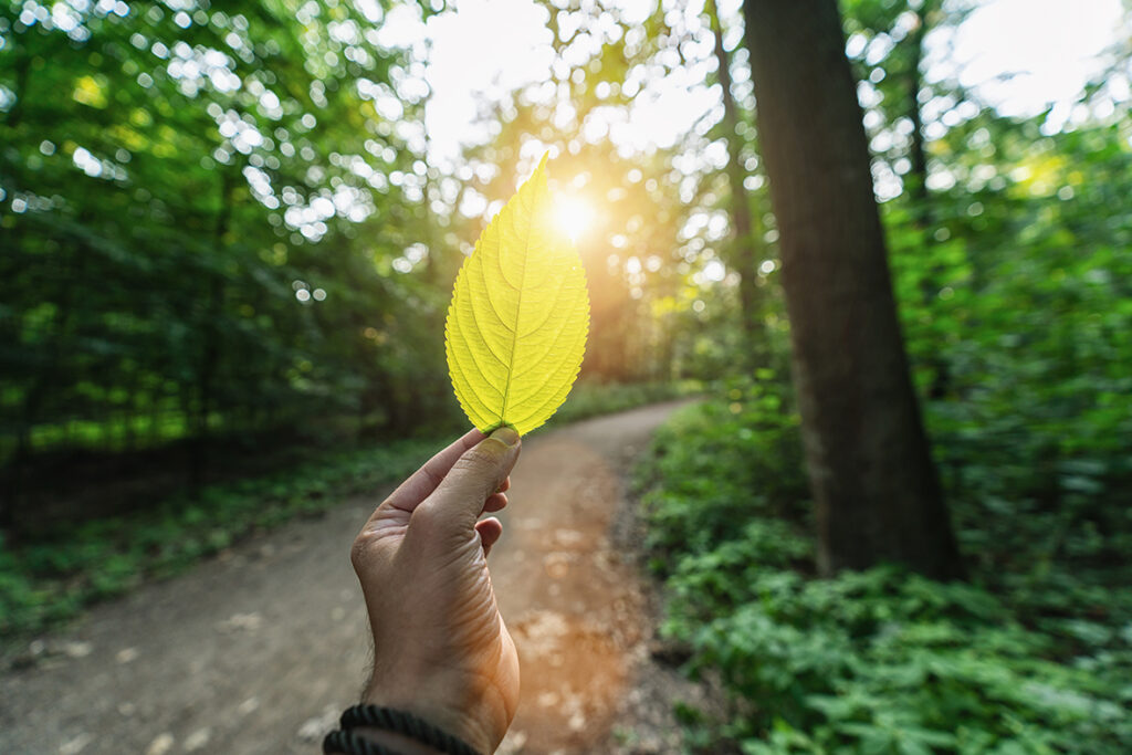 Langzaam: Het nieuwe duurzaam - Achterhet.net